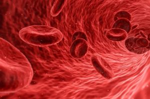 Why Am I Craving Blood? [And What to Do? Explained!]