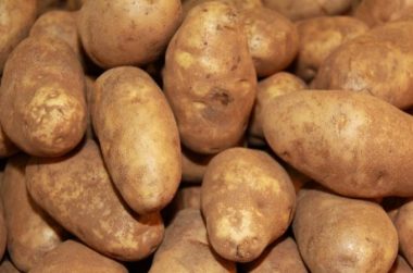 Weight of Russet Potato (All You Need to Know)