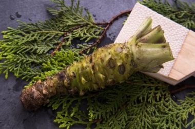 Is Wasabi Hot? (Is It Spicy or the Spice? Explained!)