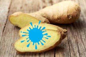 Why Is My Ginger Blue? (All You Need to Know)