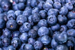 Do Blueberries Make You Poop and Cause Diarrhea? (Explained!)