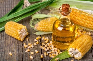 Best Flavorless Oils (All You Need to Know)